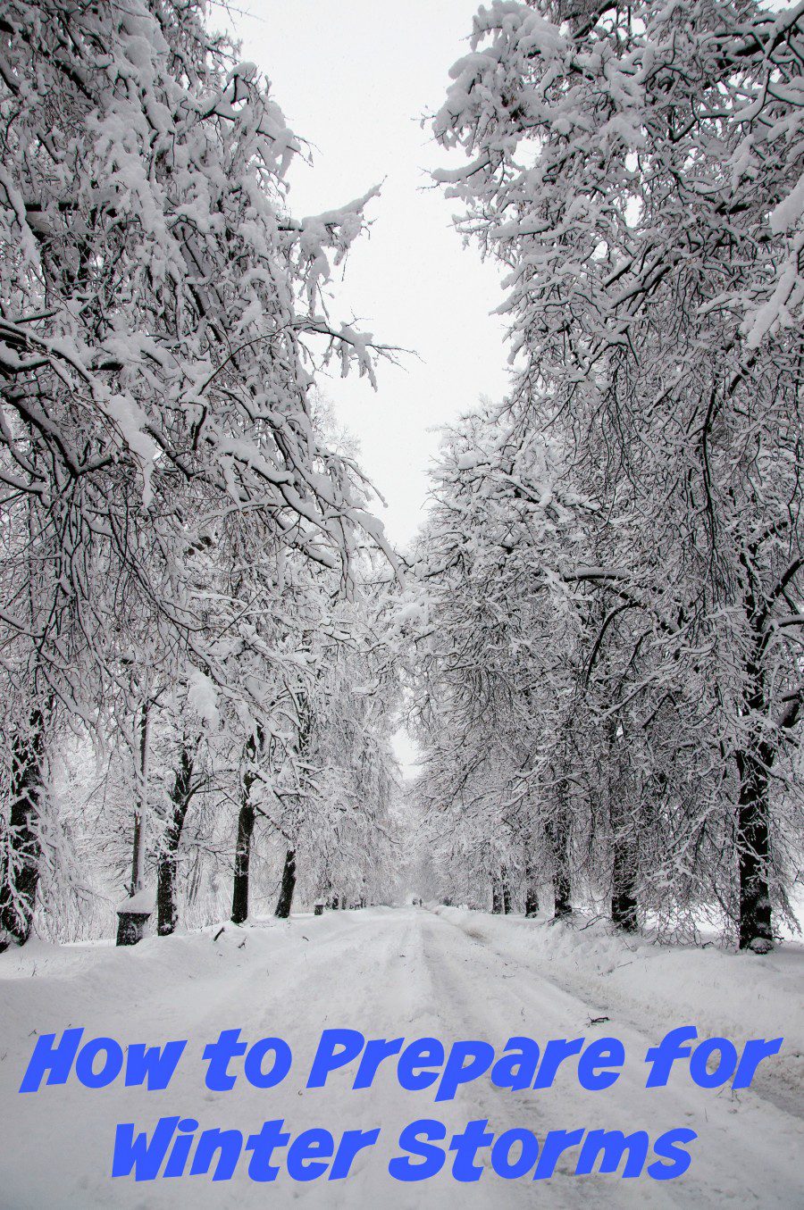 How to Prepare for Winter Storms - Frugal Mom Eh!