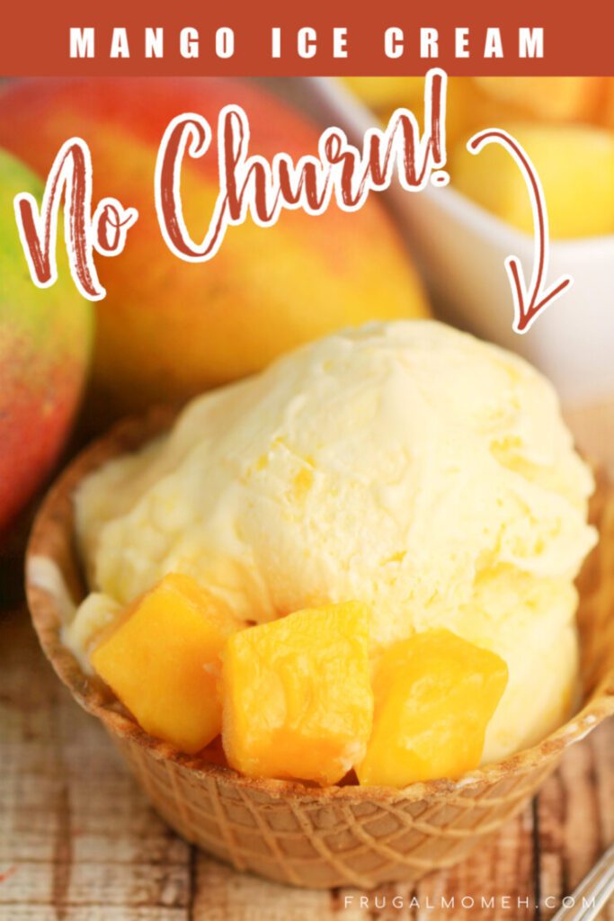 No-Churn Mango Ice Cream - Frugal Mom Eh!