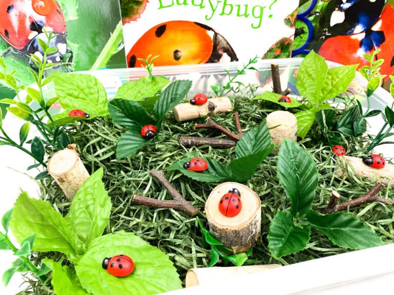 Ladybug Sensory Bin - Frugal Mom Eh!