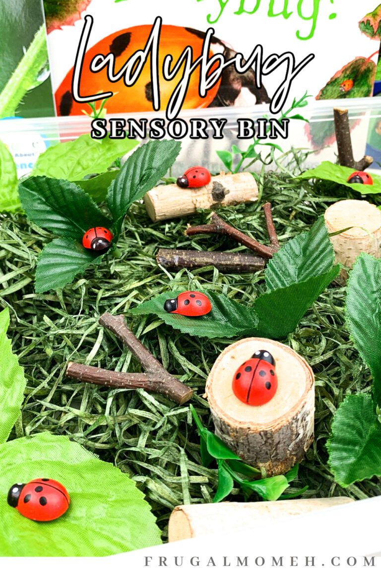 Ladybug Sensory Bin - Frugal Mom Eh!