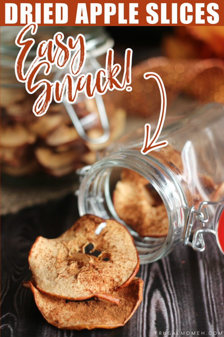 How to Make Dried Apples in the Oven Recipe - Frugal Mom Eh!