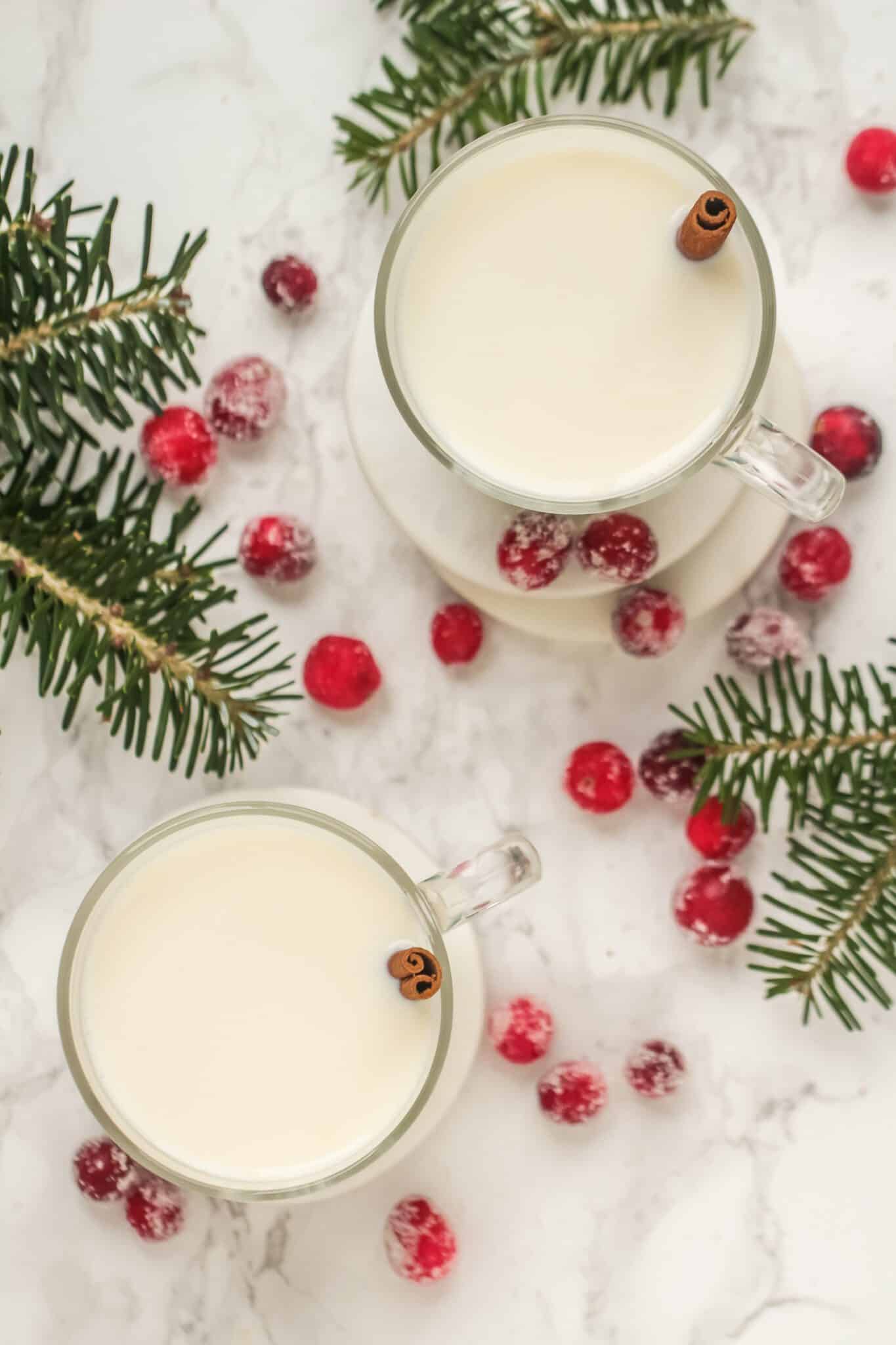 Warm Cinnamon Milk Recipe - Frugal Mom Eh!
