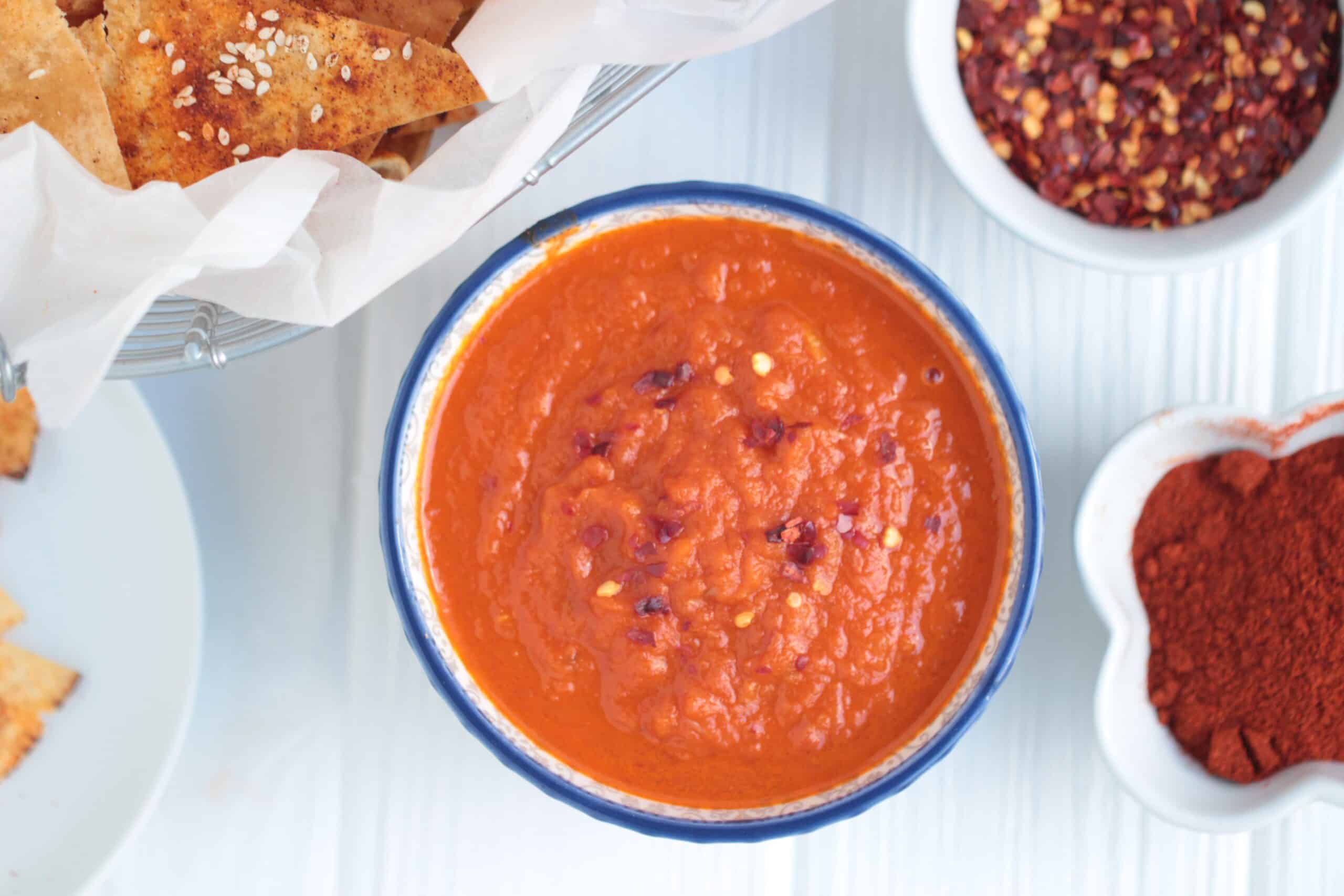 Smoky Tomato Dip (Salsa Brava) - Bravas Sauce Recipe - Frugal Mom Eh!