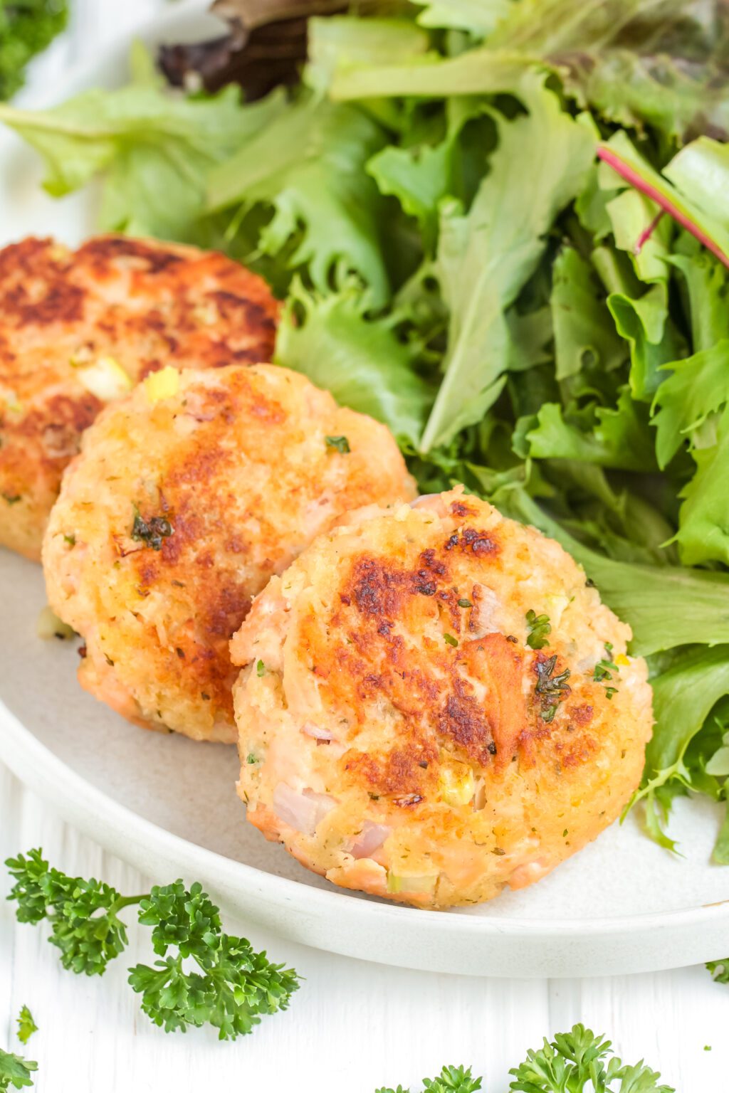 Fresh Salmon Cakes Recipe (Salmon Patties) - Frugal Mom Eh!