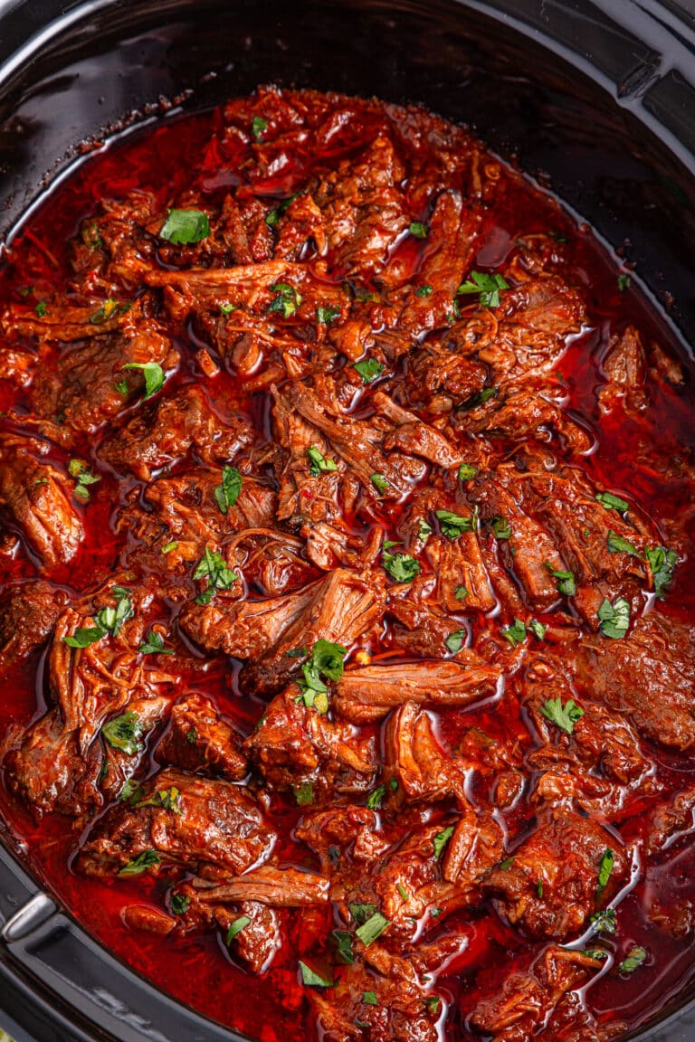 Slow Cooker Birria - Frugal Mom Eh!