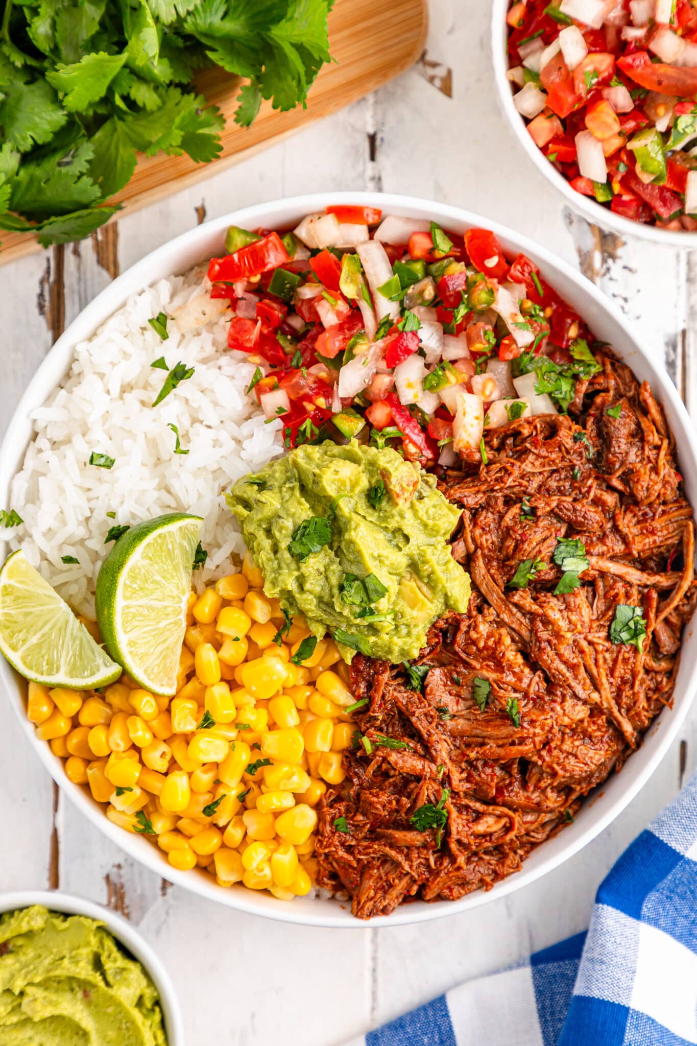 Slow Cooker Birria Bowls - Frugal Mom Eh!