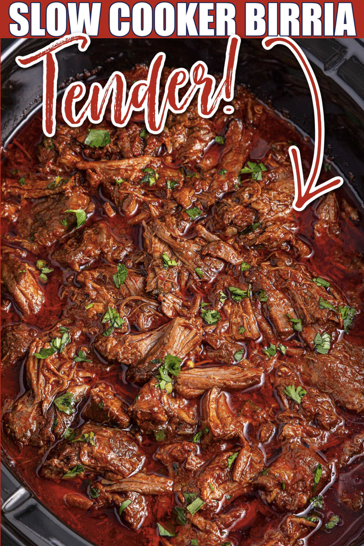 Slow Cooker Birria - Frugal Mom Eh!