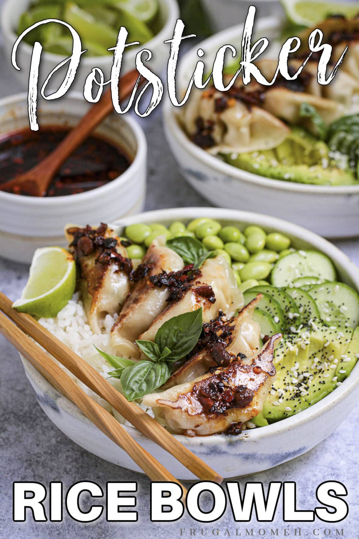 Potsticker Rice Bowls - Frugal Mom Eh!