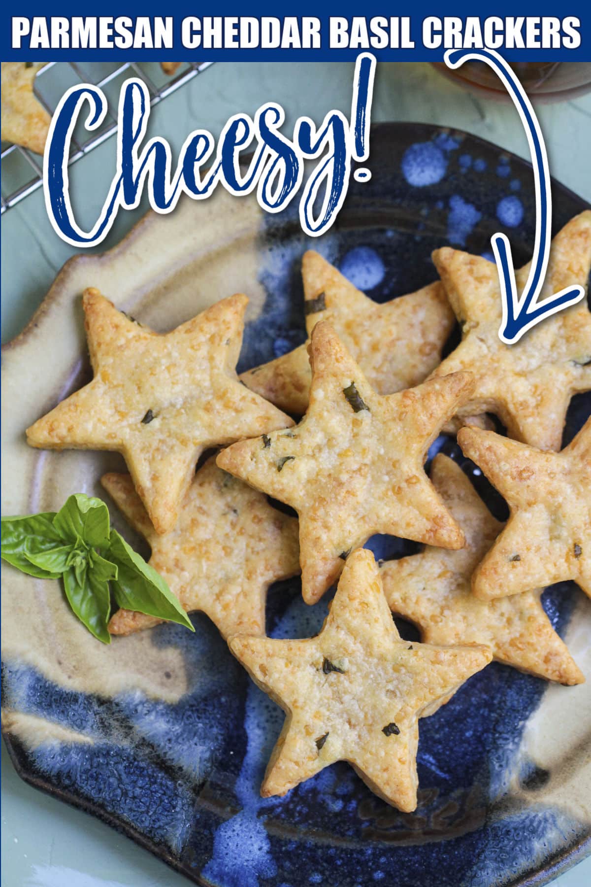 Parmesan Cheddar Basil Crackers - Frugal Mom Eh!
