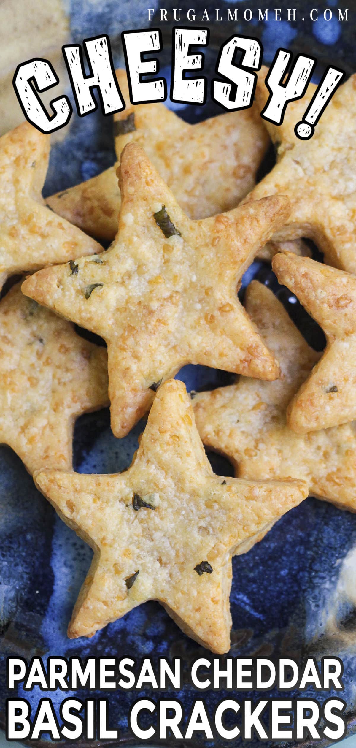 Parmesan Cheddar Basil Crackers - Frugal Mom Eh!